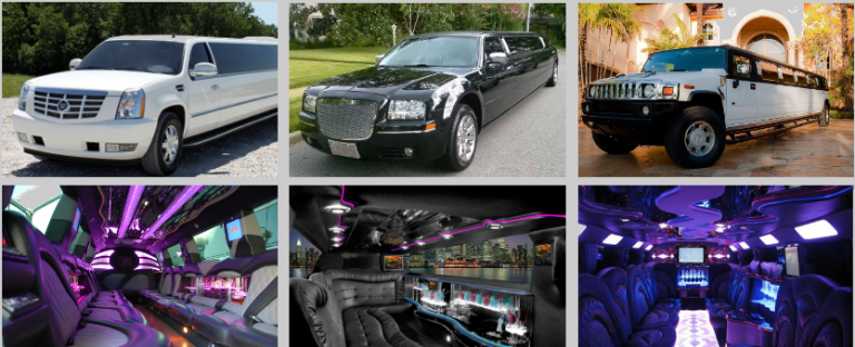 Arlington Limousine, Party Bus, & Charter Bus Rentals